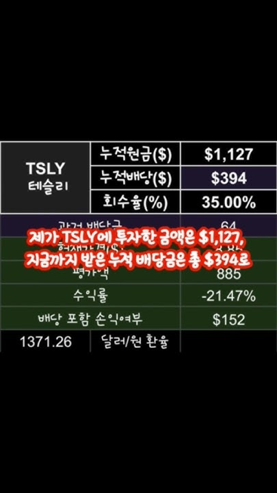 [TSLY] “테슬리” 100주 배당 수익 공개!💵 25년 6월 한 달 수령액 47,000원?! (누적 수익 +35%) [9] ⚠️절대 따라하지 마세요⚠️#주식 #배당금 ...
