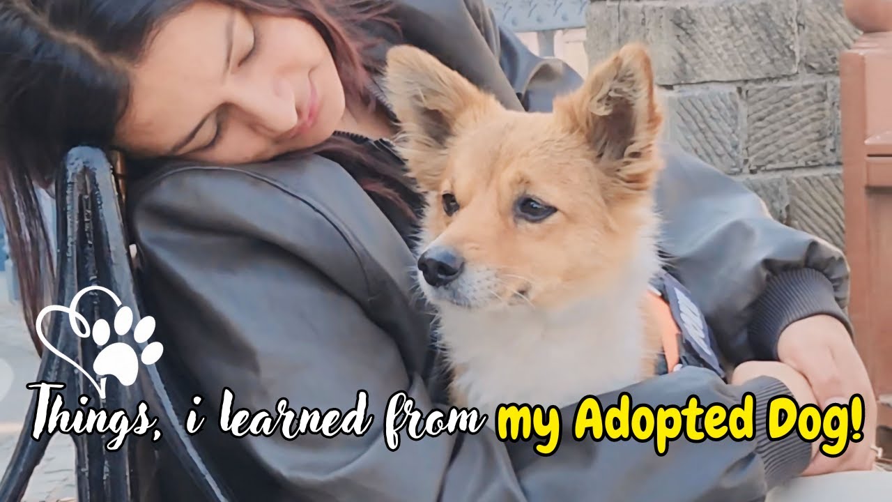What my ADOPTED DOG taught me about LIVING SIMPLE LIFE || Shikha ...