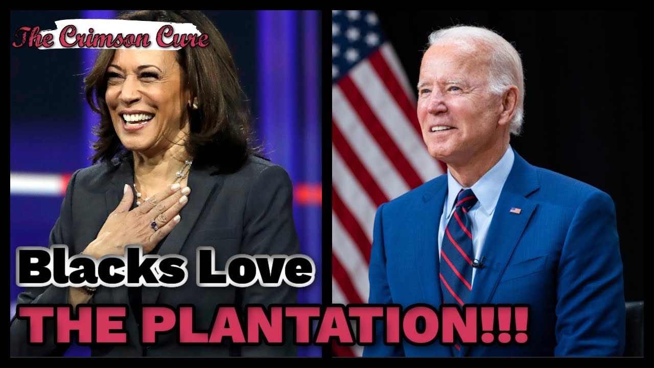 The Democratic Plantation Has Black People In A Chokehold - YouTube
