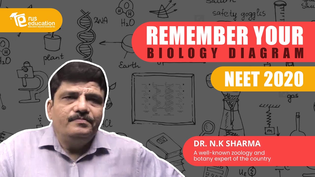 how-to-remember-biology-diagram-in-a-short-time-dr-n-k-sharma-neet