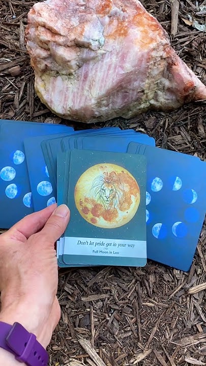 Oracle Today Pride Cardreading Oraclecardreading Dailyshorts Short Shorts Music Leo