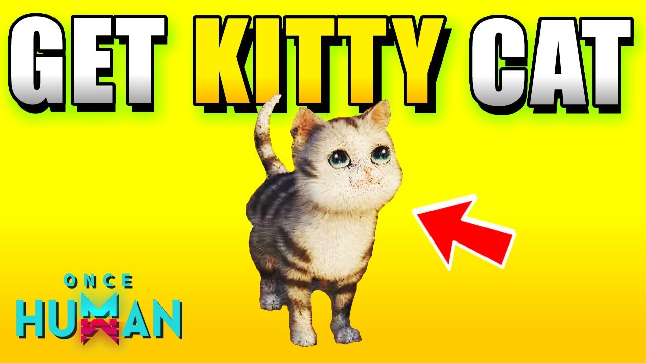 Once Human How to Get Cat / Kitty Pet Deviant (Extradimensional Cat ...