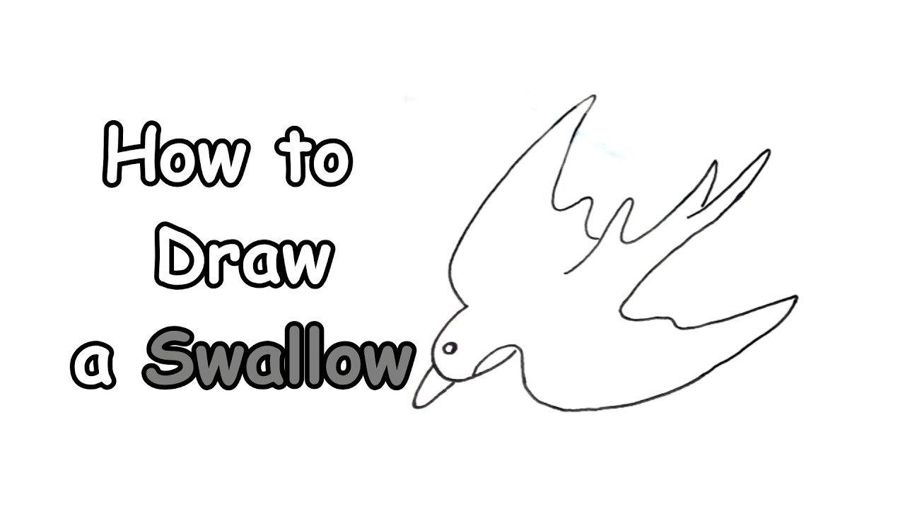 Easy How to Draw Swallow - YouTube