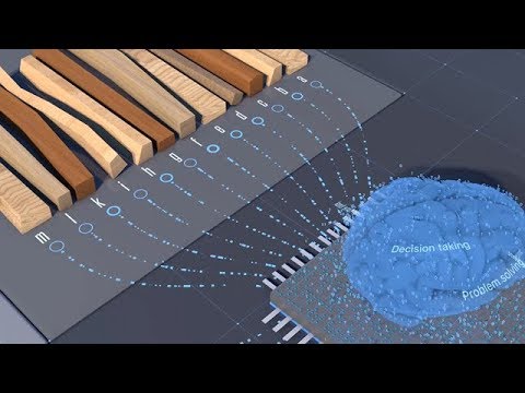 Smart Wood Processing with AI - YouTube
