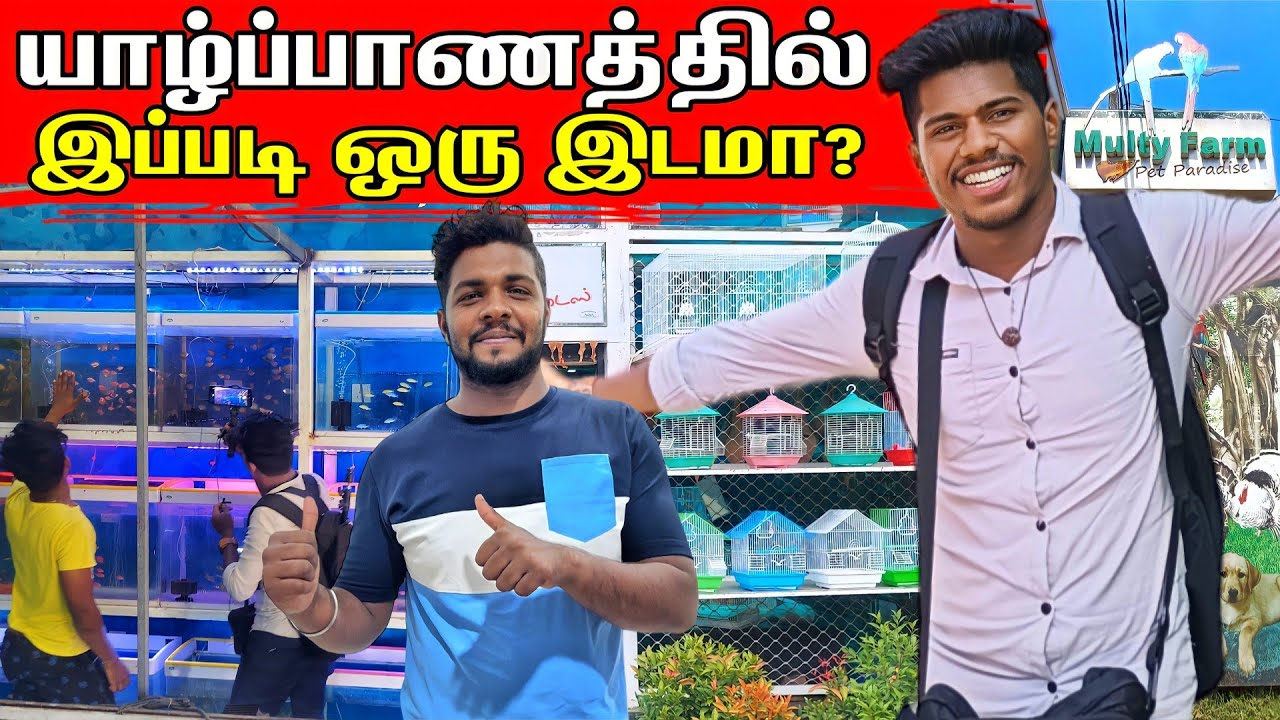 Jaffna Multy Farm | வடமாகாணத்திலுள்ள மிகப்பெரிய பண்ணை | Rj Tamizha ...