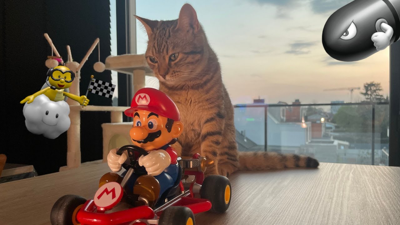 Cute Cat Vs Super Mario! EPIC battle! - YouTube