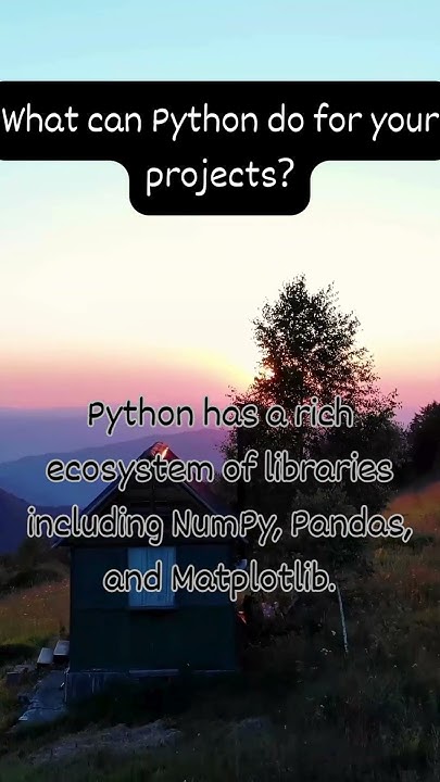 What Can It Do Pythonprogramming Pythonprojects Javascript Html Css3 Pythonforbeginners