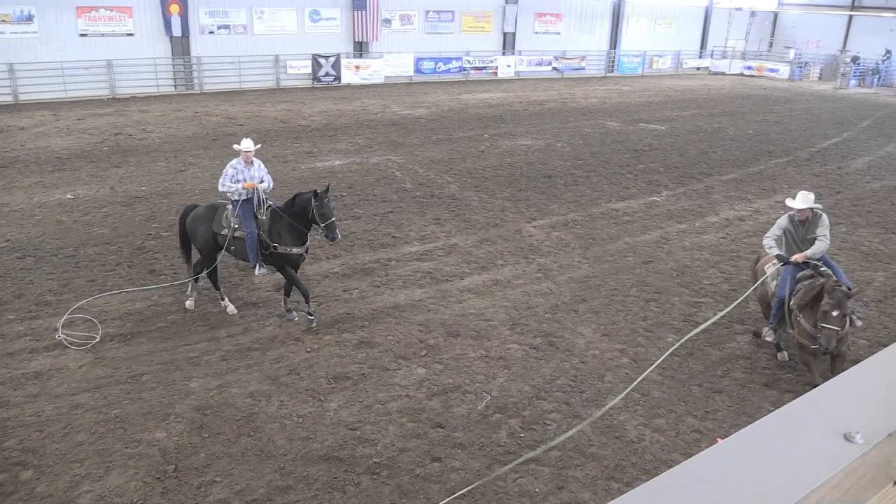 2015, Team Roping, Rocky Mountain Regional Rodeo - YouTube