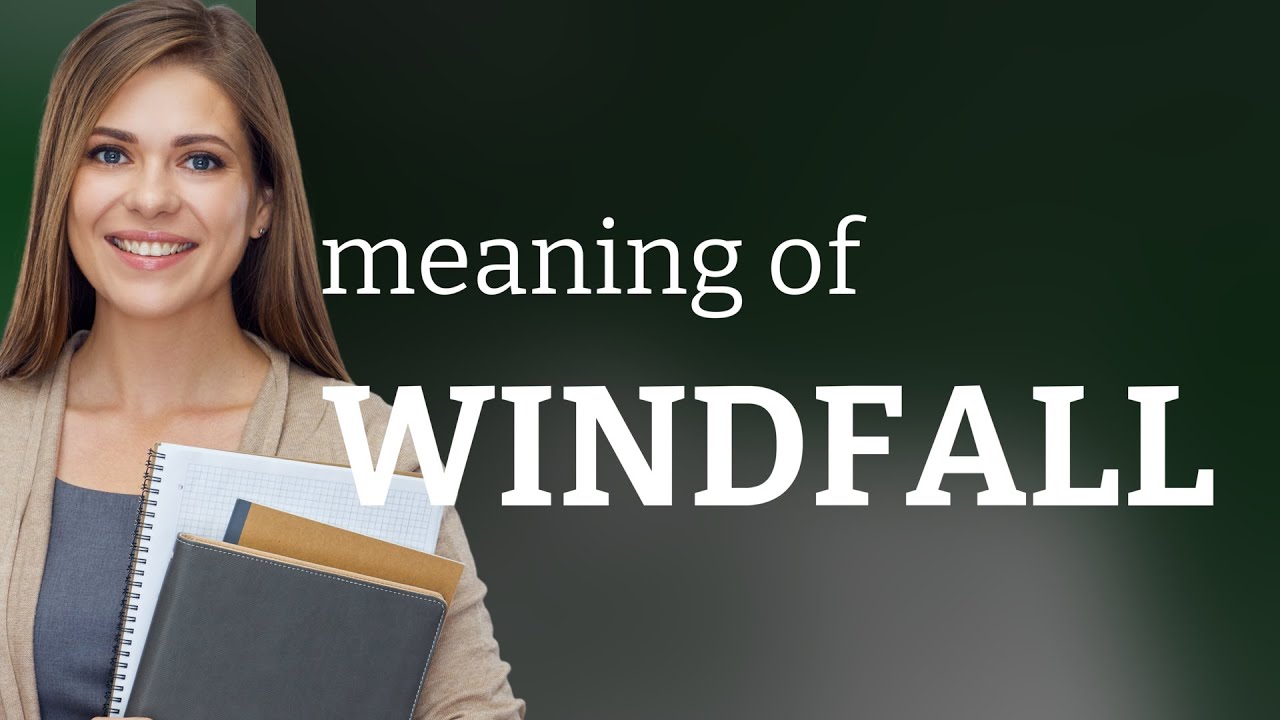 Understanding "Windfall": A Surprising Gain Explained! - YouTube