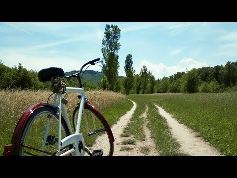 Francesco Renna / Biciclette al passeggio (official video)