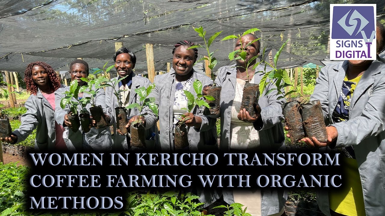 WOMEN IN KERICHO TRANSFORM COFFEE FARMING WITH ORGANIC METHODS - YouTube