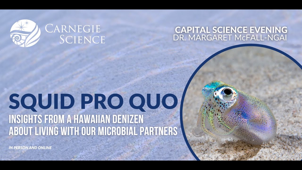 Squid Pro Quo: Insights from a Hawaiian denizen about living with our ...