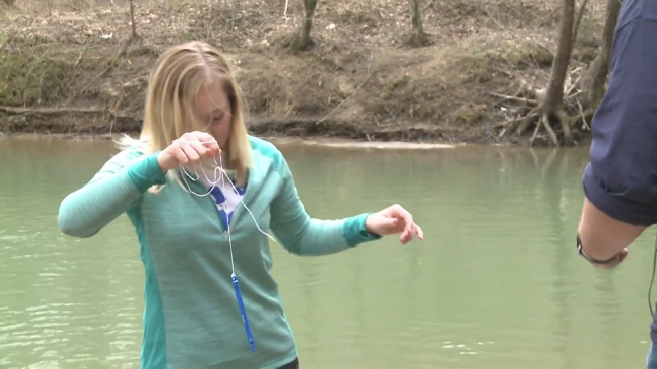 Students release dozens of fish into Johnson County creek - YouTube