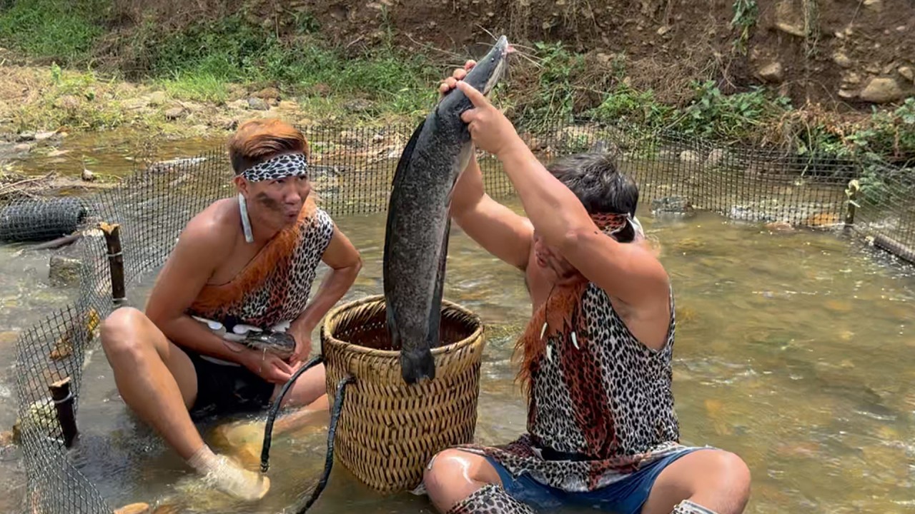 How to Catch Fish in the Wild – Aboriginal fish trap Techniques for ...