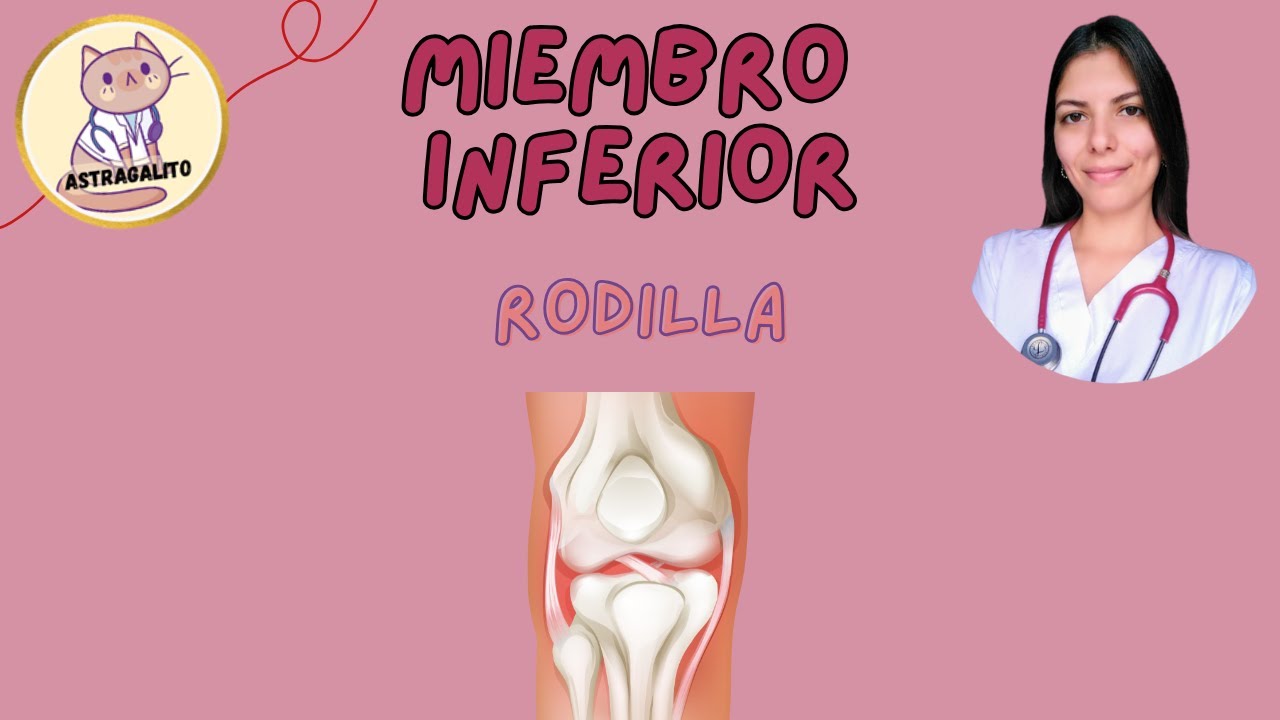 COMPLEJO ARTICULAR DE LA RODILLA┃ANATOMÍA - UBA - YouTube