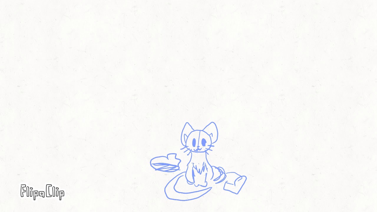 Animation practice ,cat - YouTube