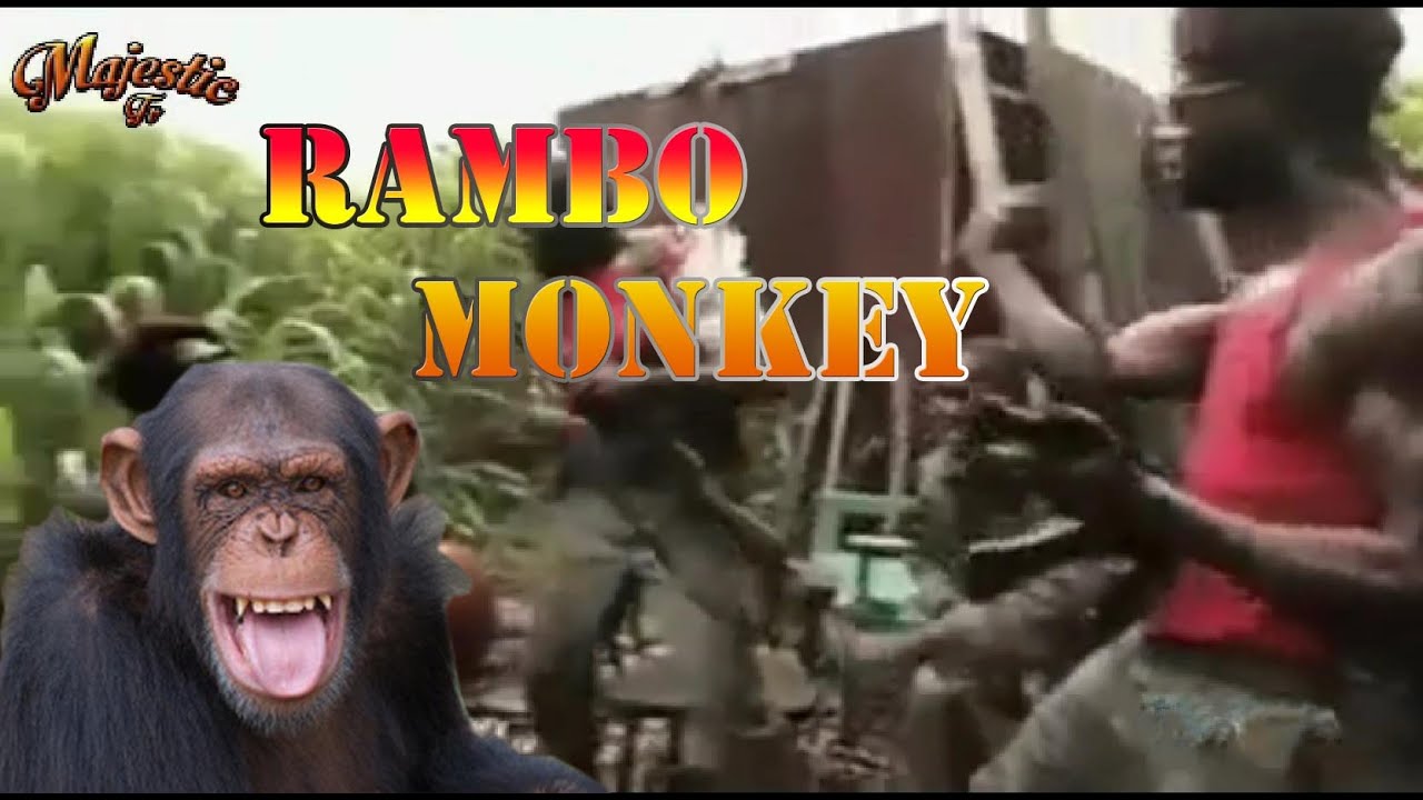 Rambo monkey firing in jungle :) - YouTube
