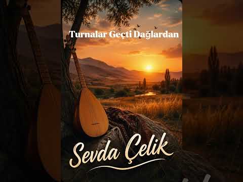 Turnalar Geçti Dağlardan | Duygusal Türkü | Yeni Anadolu Halk Müziği | Sevda Çelik