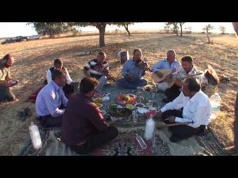 Bugün Ayın Işığı (Abdal Koro)