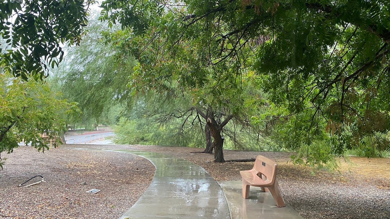 A Rainy Day in the Park: A Soothing Escape in the nature with a Hint of ...