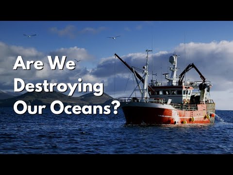 Are We Destroying Our Oceans? #SeaSpiracy - YouTube