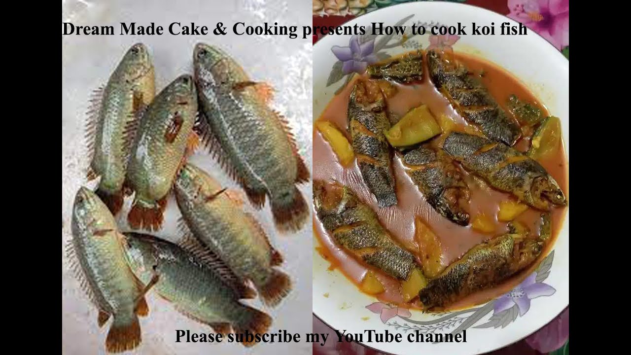 How to cook koi fish Curry Recipe - YouTube