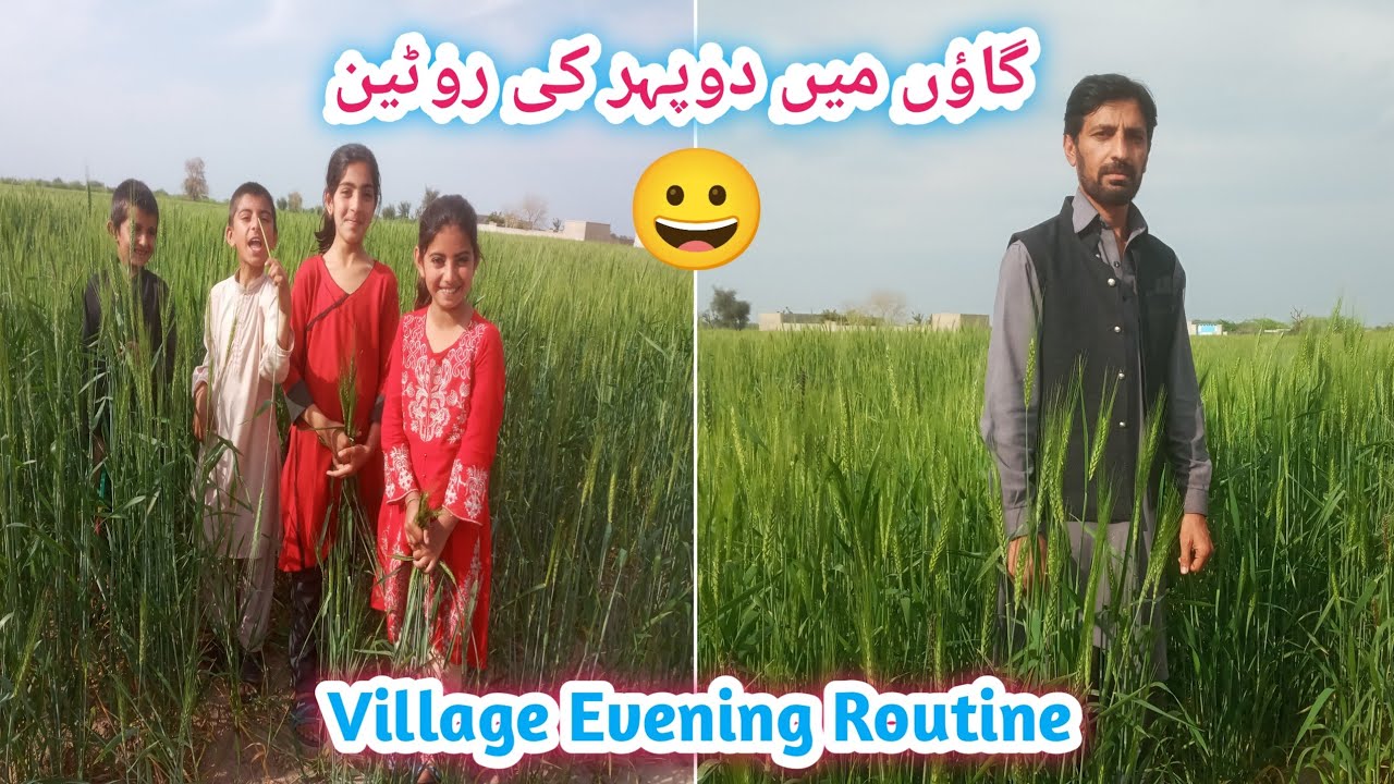 گاؤں میں دوپہر کی روٹین 🥰🌾 | Village Evening Routine Pakistan ...