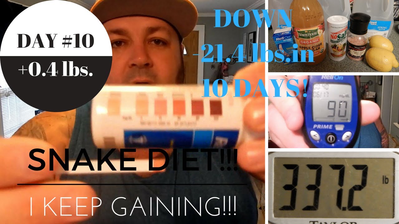 Snake Diet Challenge - Day #10 - I hate GAINING weight!!! - YouTube