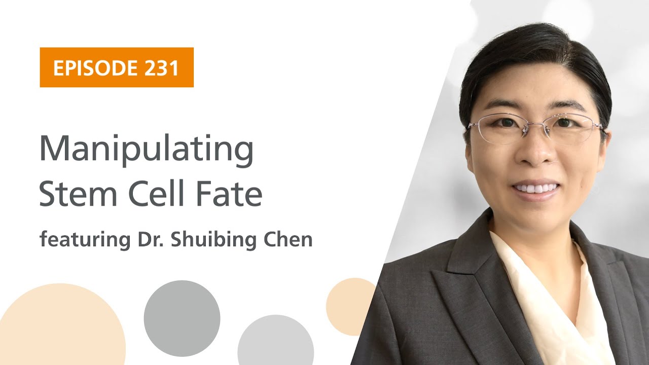Manipulating Stem Cell Fate featuring Dr. Shuibing Chen | The Stem Cell ...