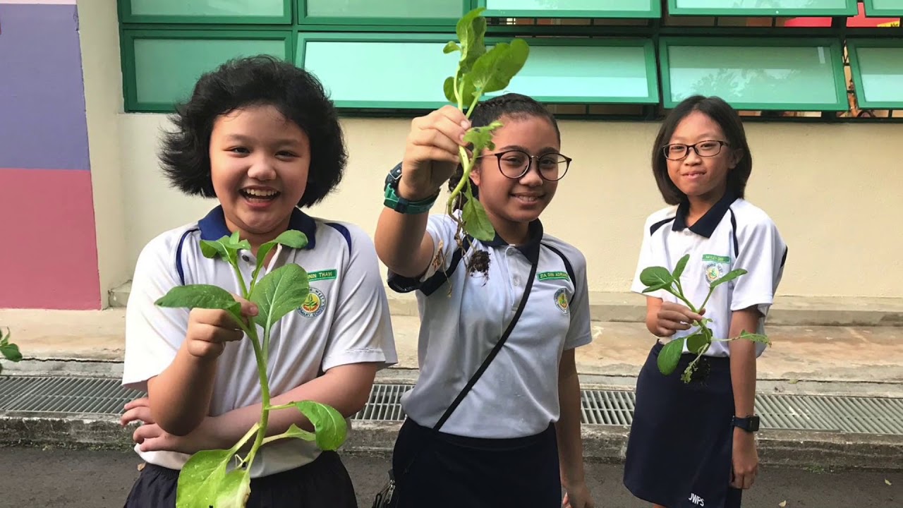 Prize Giving Day Primary 5 2018 - YouTube