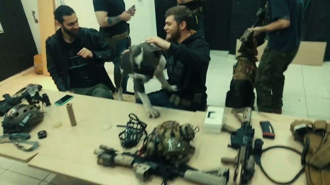 Task Force 41 Dogs Operations - YouTube