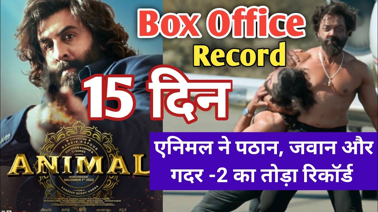 Animal Box Office collection | Animal 14 Day collection | 15 Day ...