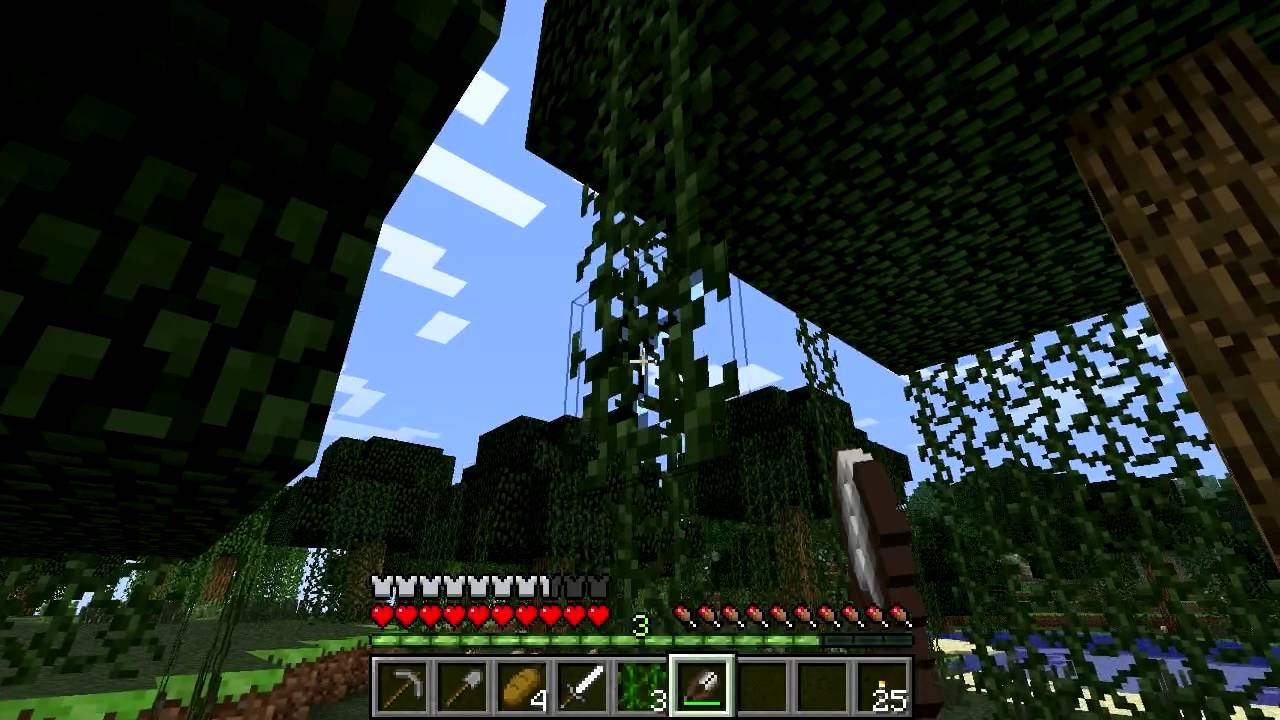 Minecraft Blocks & Items: Vines - YouTube