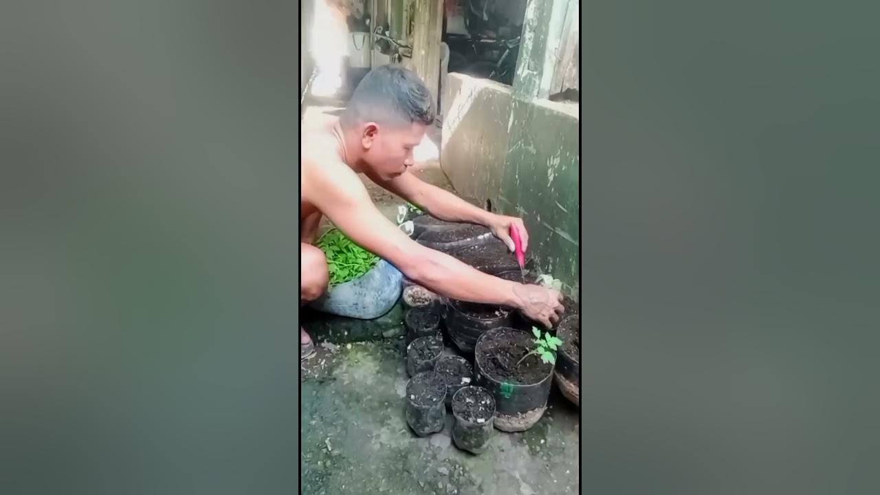 magtanim para may anihin - YouTube