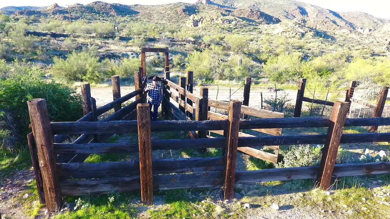 Cow (Mariachi) Trap!! - YouTube