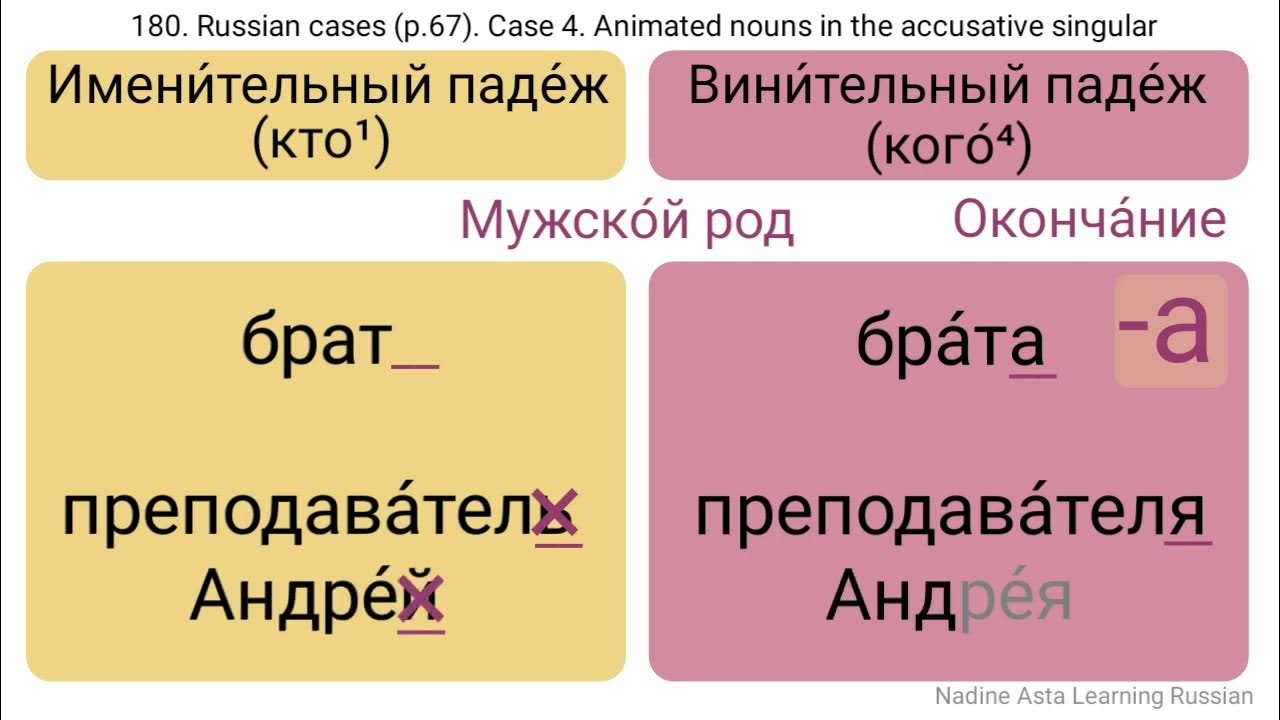 180. Russian cases (p.67). Case 4. Animated nouns in the accusative ...