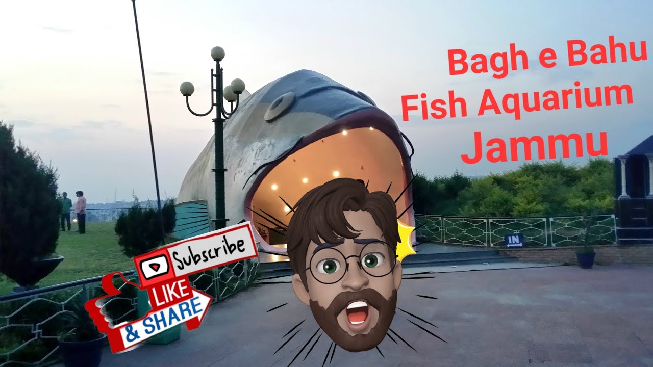 Bagh e Bahu Fish Aquarium Jammu - YouTube