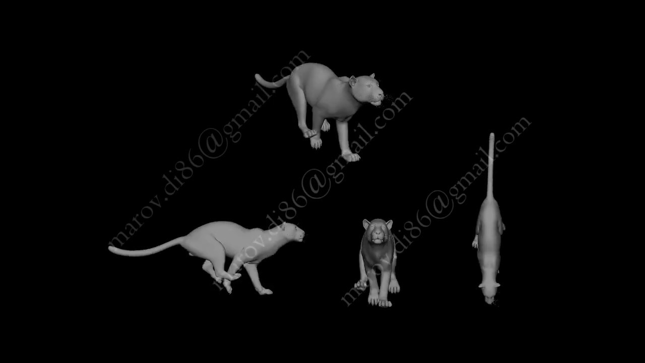 leopard run cycle animation test - YouTube