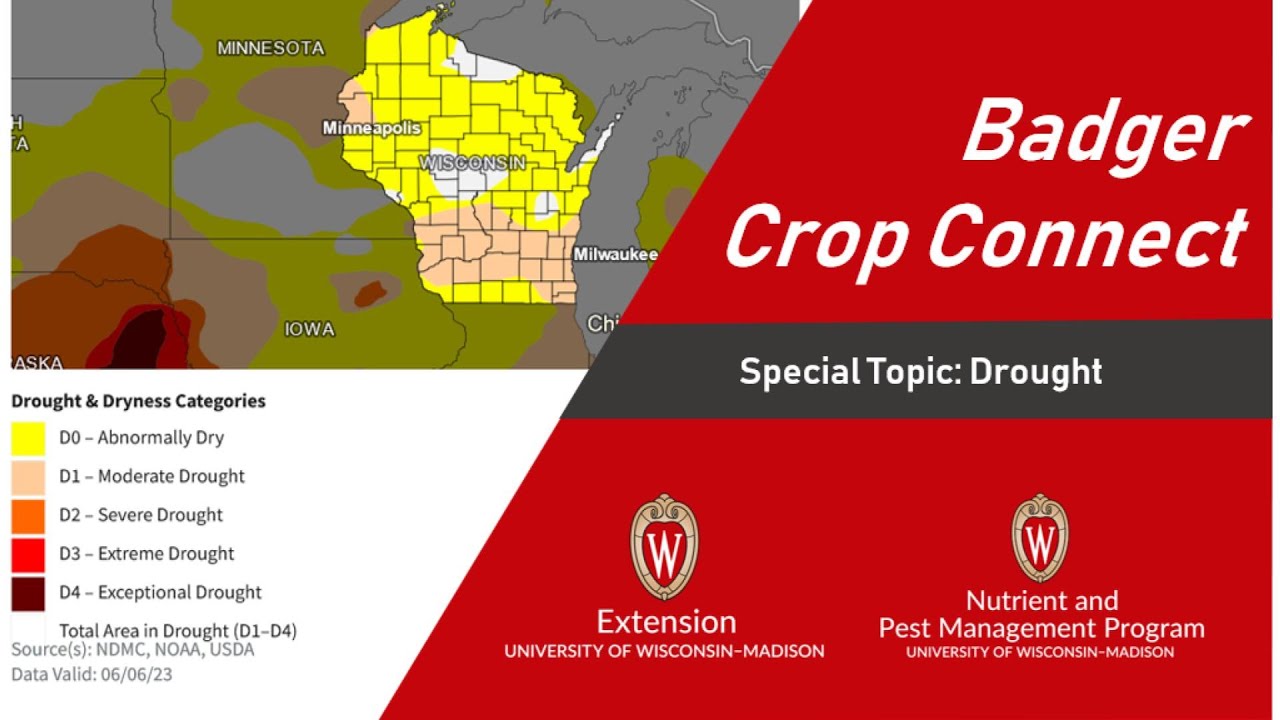 Badger Crop Connect Webinar Series 2023:June 9, 2023 Special Drought ...