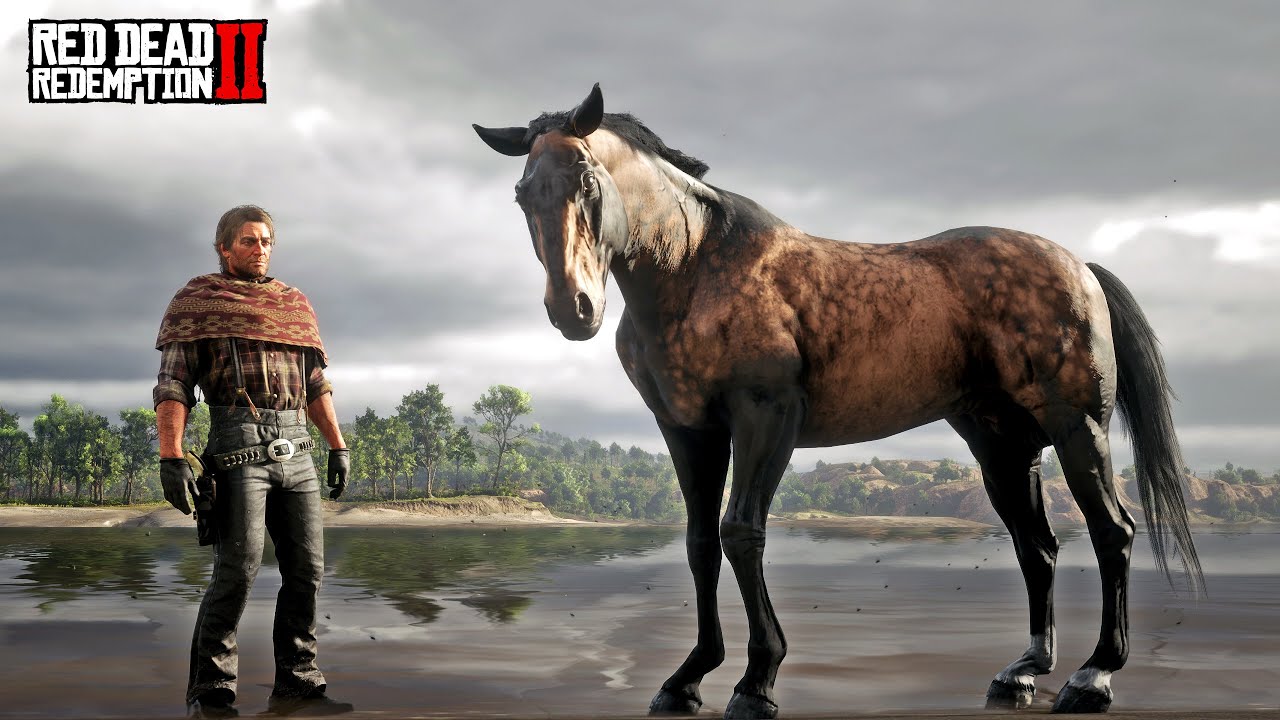 Arthur Morgan Tames Sooty Buckskin Dutch Warmblood at Annesburg Forest ...