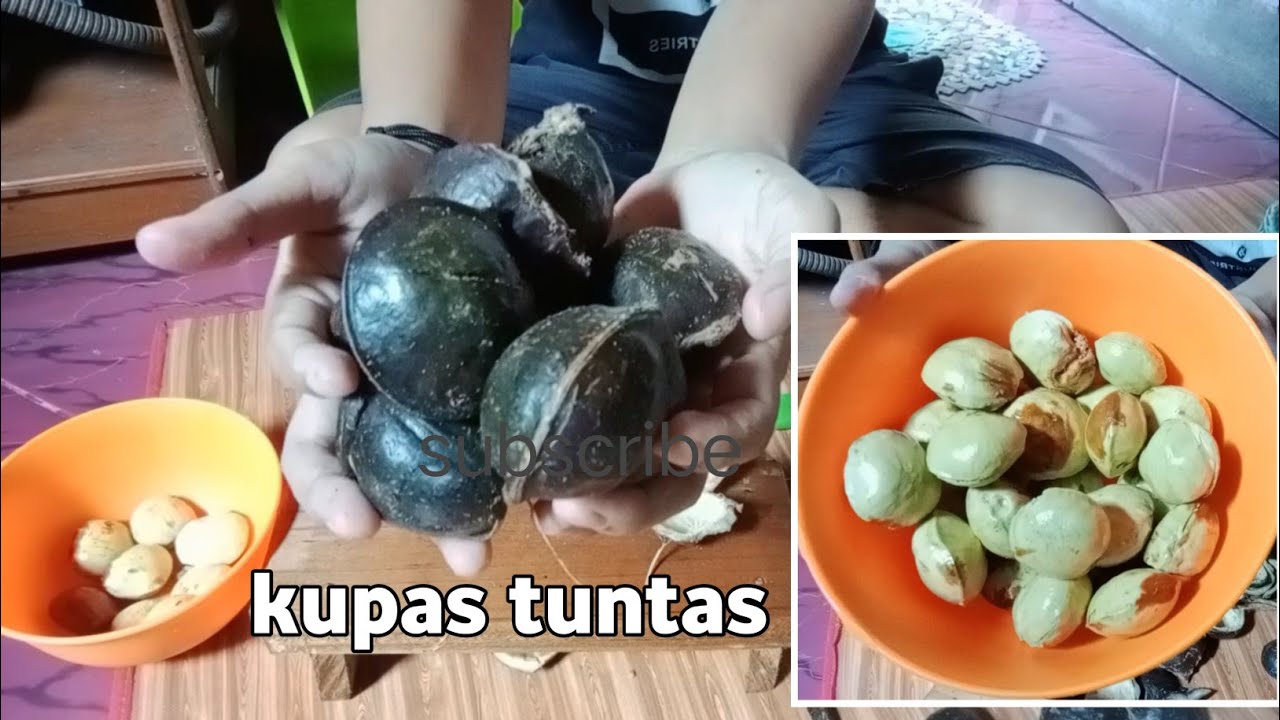kupas kupas kulit jengkol soni borneo - YouTube