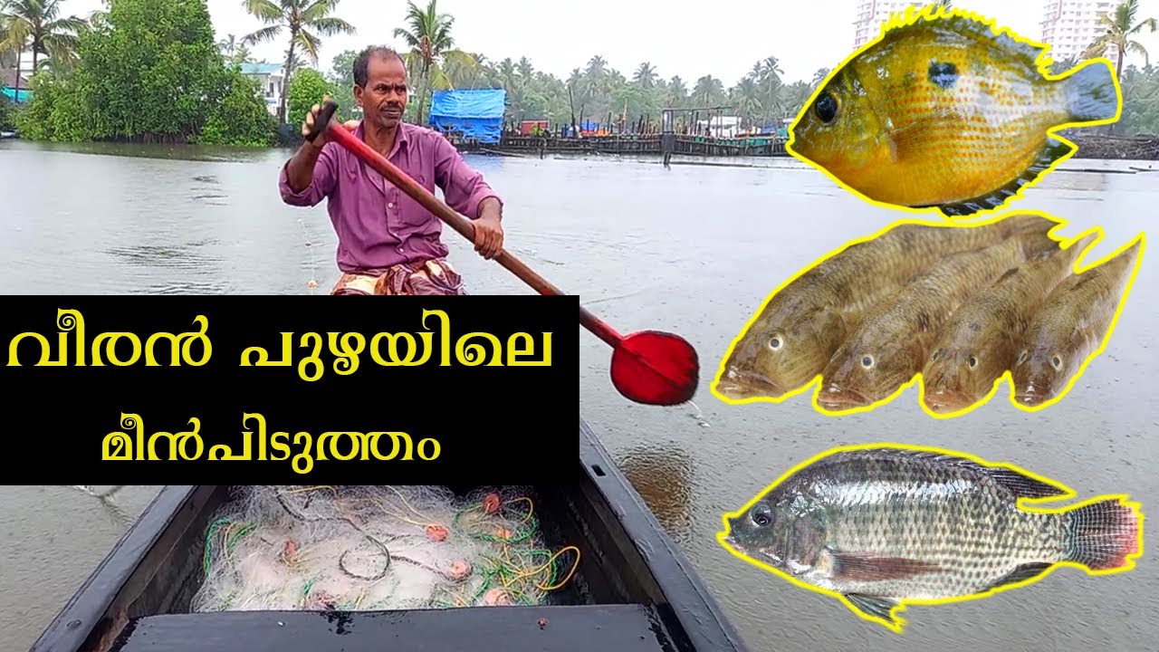 Fishing In Veeran Puzha, Vypin, Ernakulam - YouTube