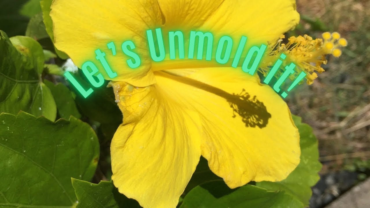 Let’s Craft! Unmolding resin items…. - YouTube