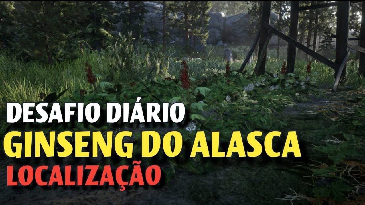 GINSENG DO ALASCA - LOCALIZAÇÃO - DESAFIO DIÁRIO - Live RDR2 @Jungleboy ...