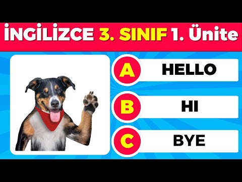 3. Sınıf İngilizce 1. Ünite Kelime Testi | 50 Kelimelik Fotoğraflı İngilizce Kelime Quizi