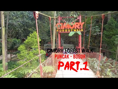Cimory Forest Walk- Puncak - Wisata Puncak Bogor