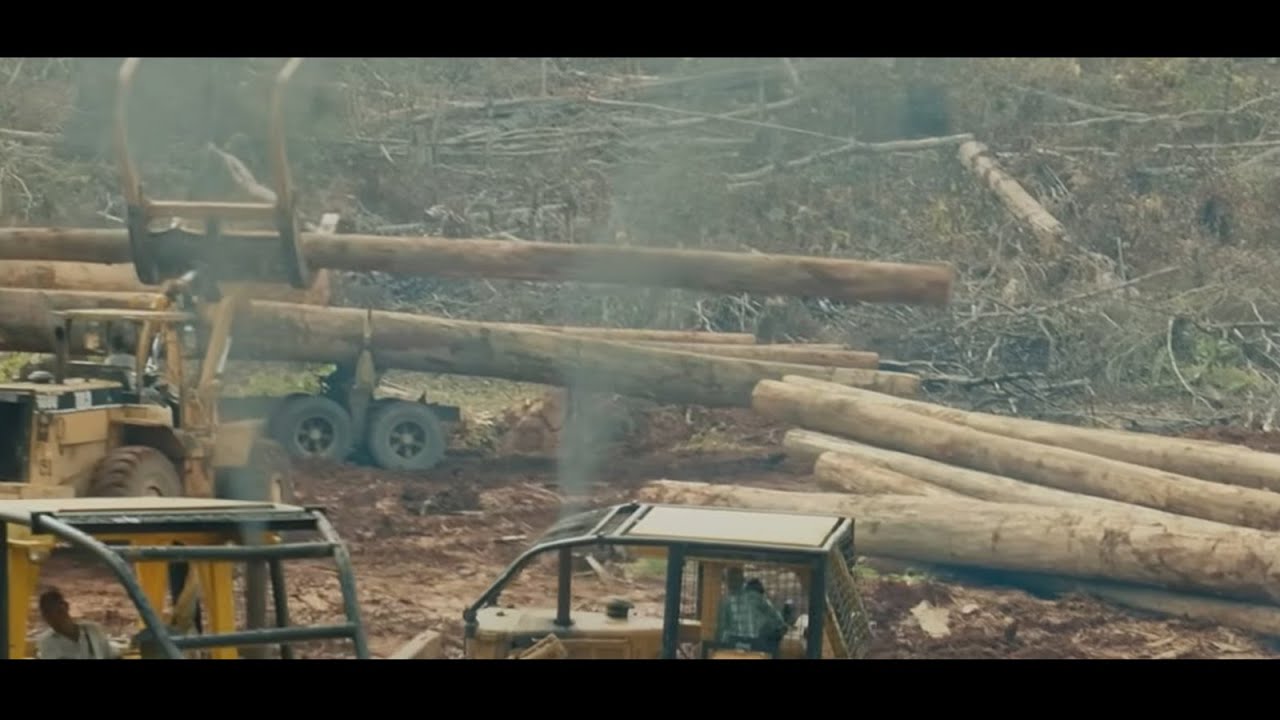 La Promesse verte film complet en français 2024 - YouTube