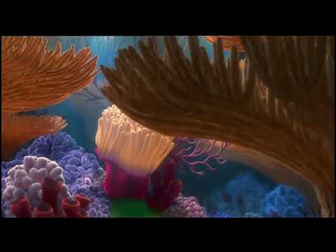 Turkish Opening to German DVD of Finding Nemo - YouTube