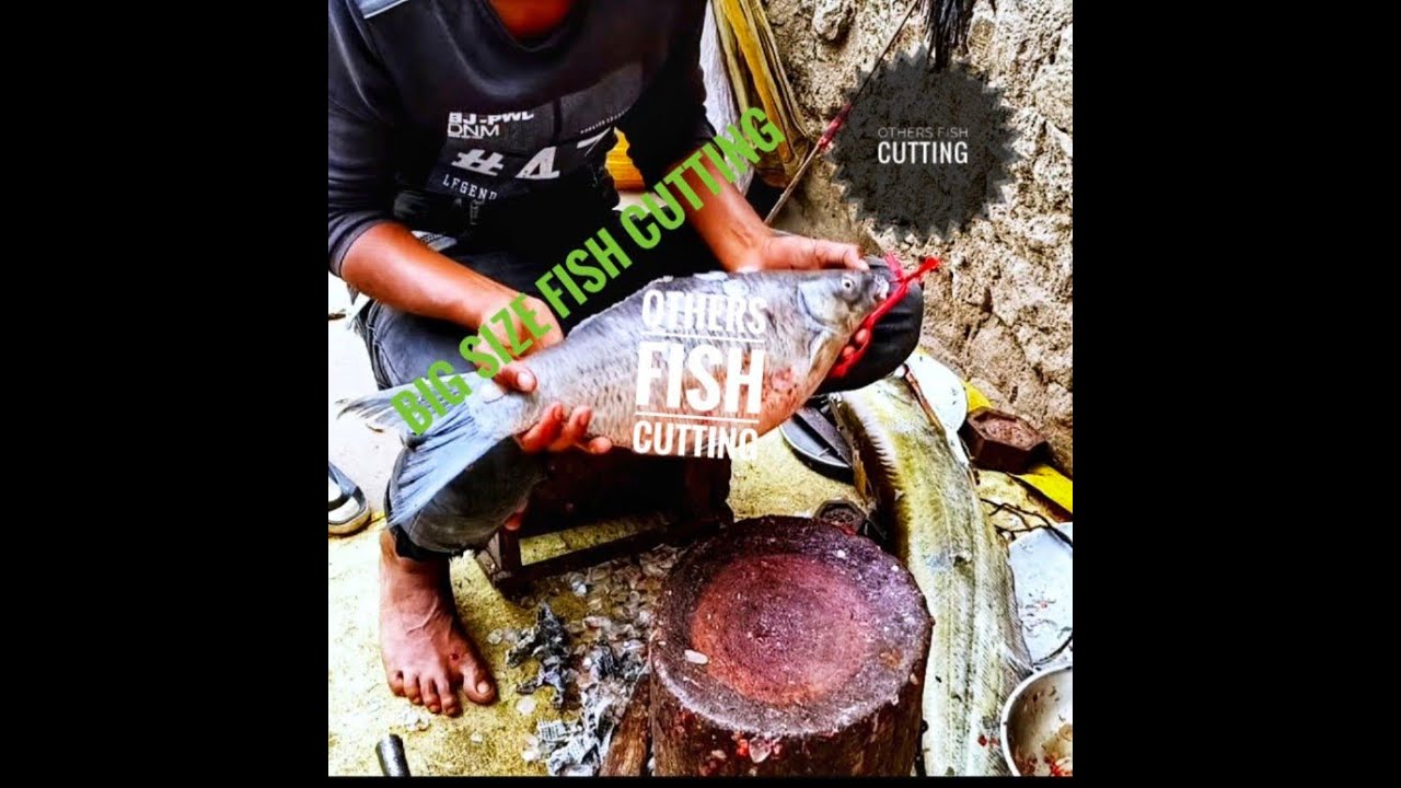 Big size fish #cutting #skills #youtube amazing fish cutting #video ...