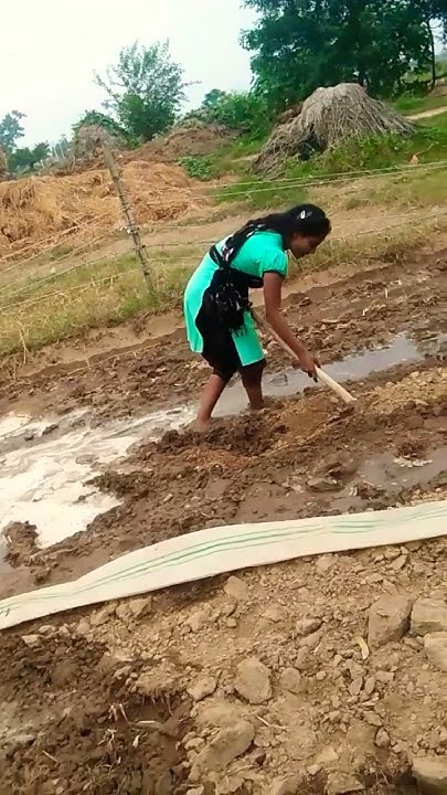 khet me pani chala rhi hu @vinita kashyap #shorts video - YouTube